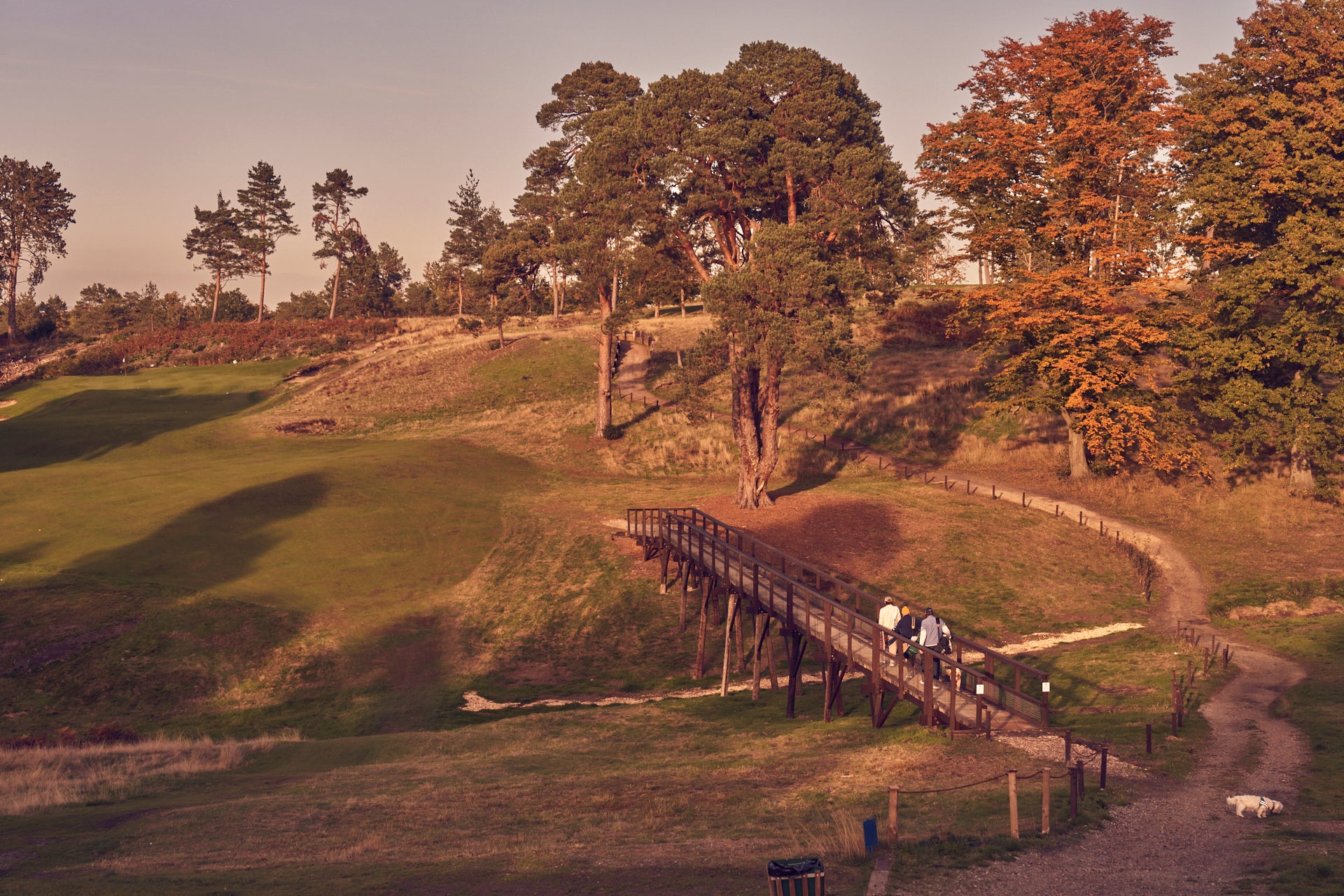 Sounder Golf | Players' Journal | What I've learned: Ryan Noades by Dan ...